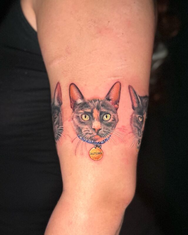 Tortoiseshell cat tattoo - Bronctattooaus.com